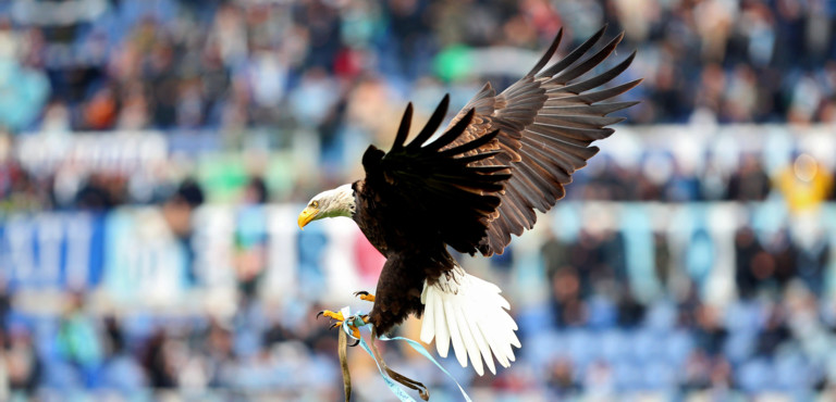 La Lazio ha sospeso l'addestratore dell'aquila Olympia per aver ...