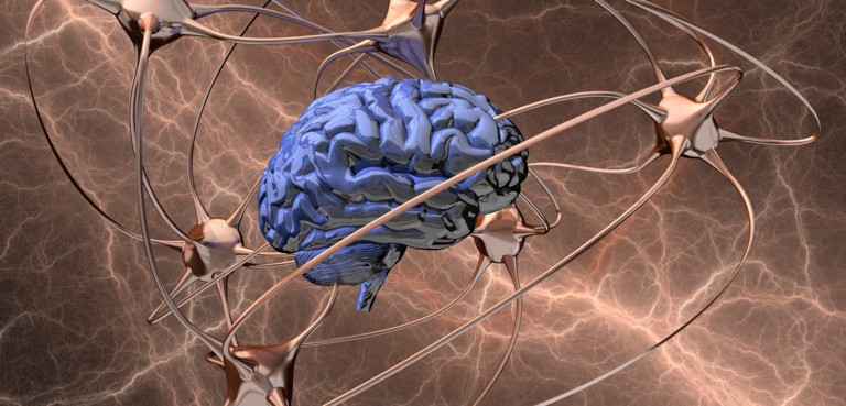 Come funzionano le reti neurali per la percezione dello spazio