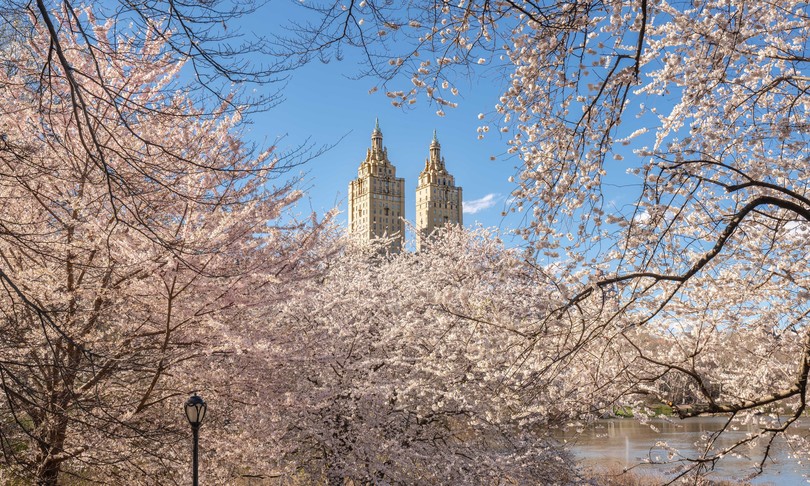 A New York rifiorisce la primavera, ed è folla a Central Park