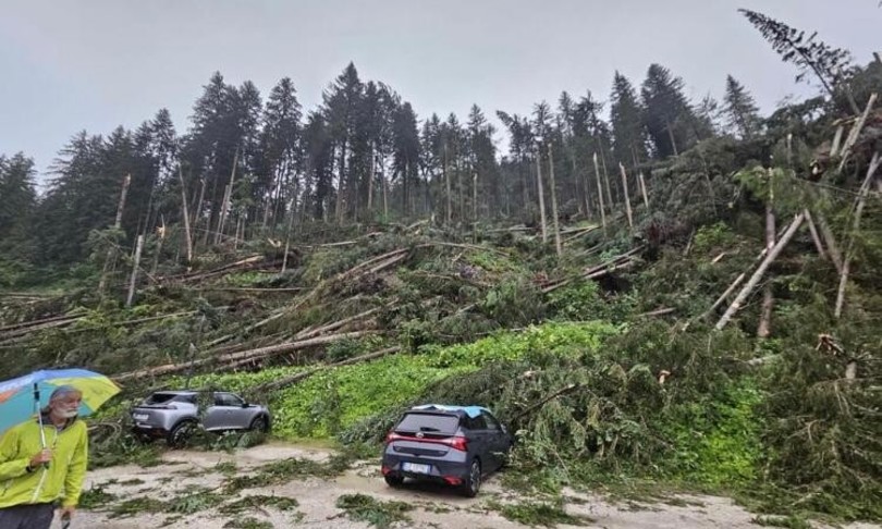 La tromba d'aria che ha abbattuto gli alberi in Cadore [VIDEO]