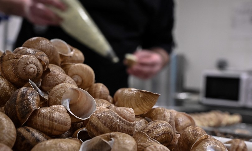 In Francia il piatto piange. Nel menù di Natale non ci saranno le ...
